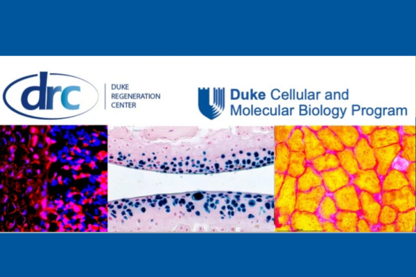 The Hilton Laboratory | Duke Department of Orthopaedic Surgery