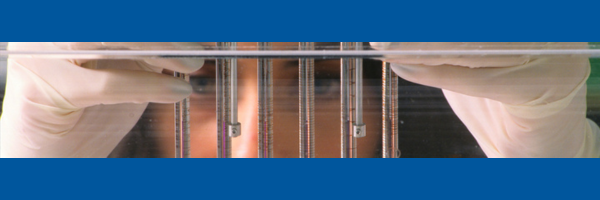 The Alman Lab | Duke Department of Orthopaedic Surgery